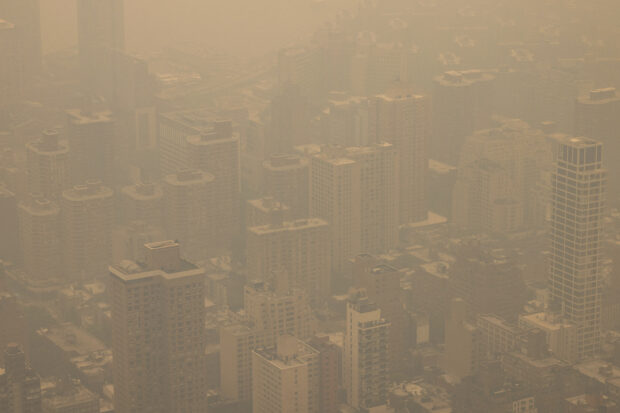 Understanding The Real Impact of Wildfire Smoke | Charles Taylor